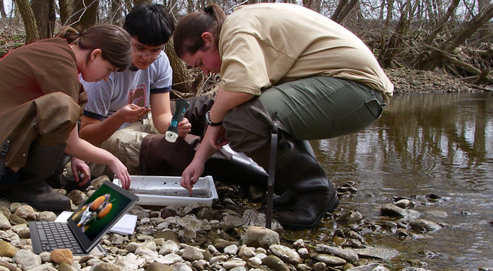 Primary education - Q-scope